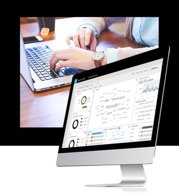 Microsoft Dynamics Professional Services CRM